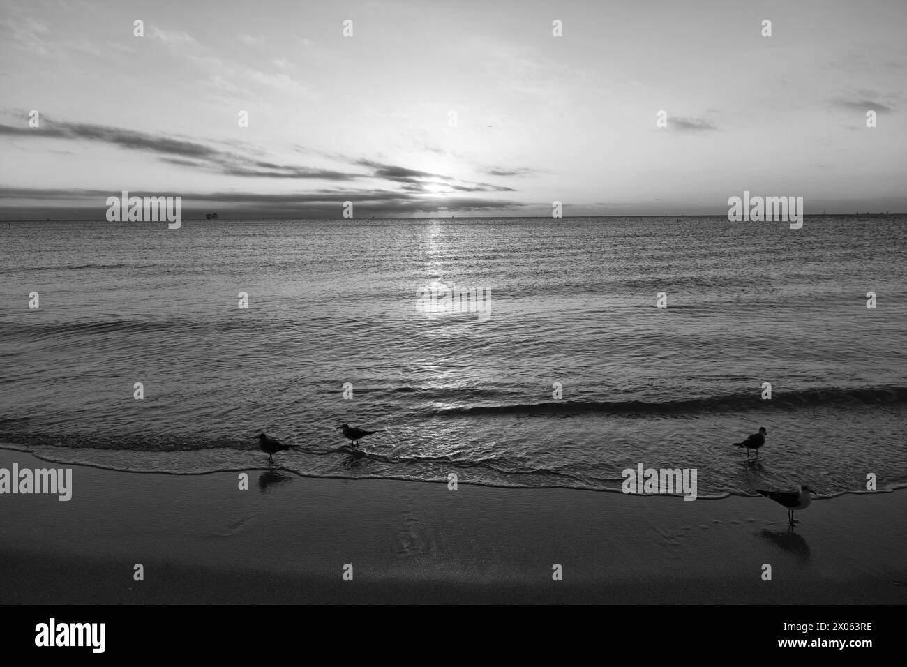Background amazing sunset on Black and White Stock Photos & Images - Alamy