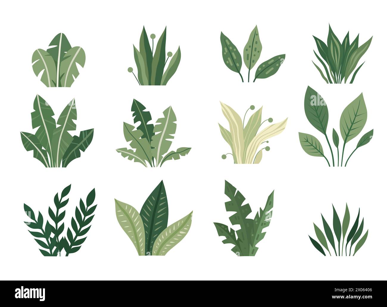Vector set of tropical plants isolated from background. Nature clipart ...