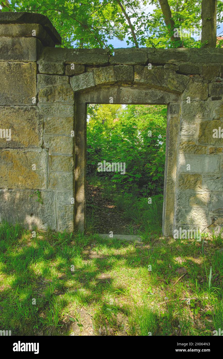 Door frame in a ruined wall, Schönfeld Castle, Schönfeld Highlands near ...