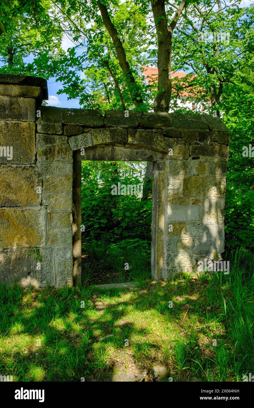 Door frame in a ruined wall, Schönfeld Castle, Schönfeld Highlands near ...
