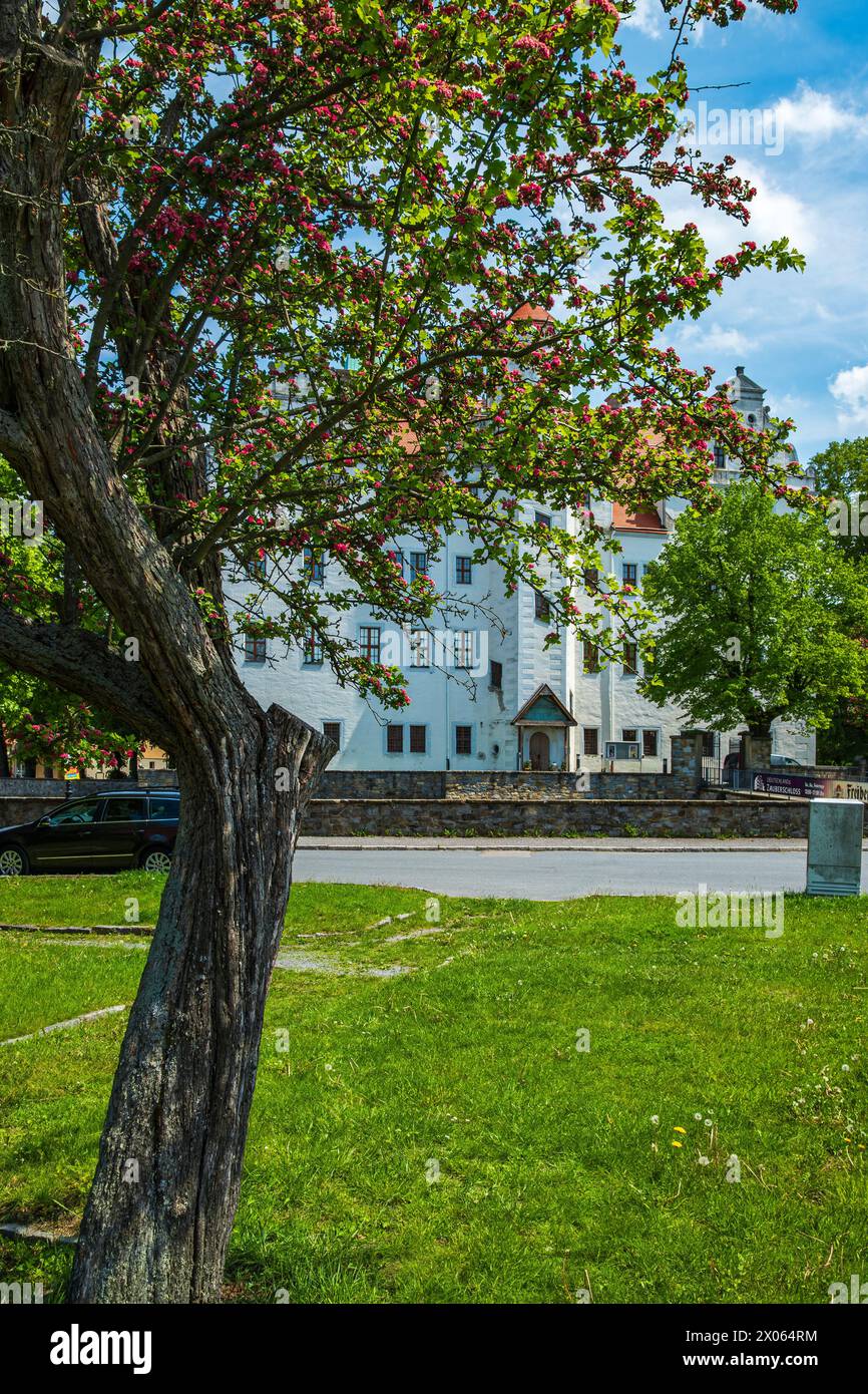 Schönfeld Castle, also known as Germany's Castle of Magic, a ...