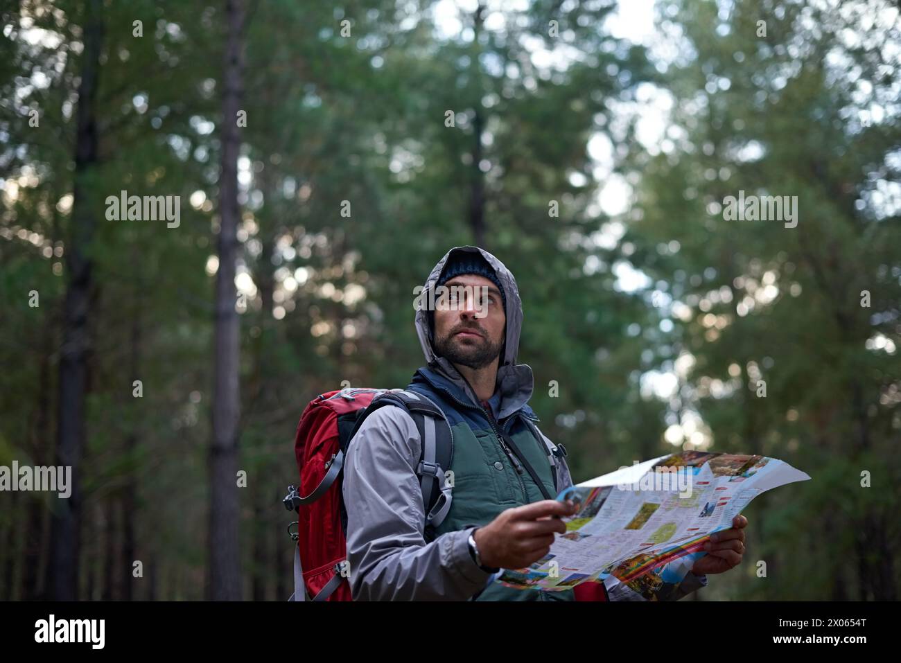 Search, forest and man with map for direction to camp in woods and ...