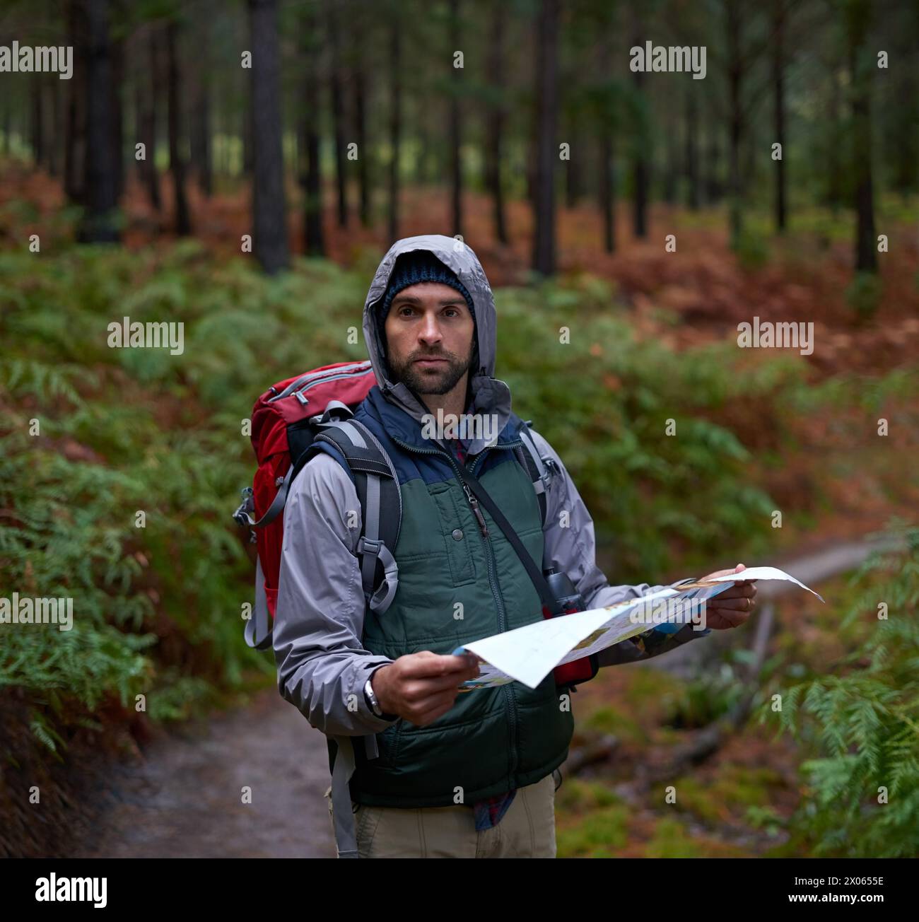 Confused tourist in forest hi-res stock photography and images - Alamy
