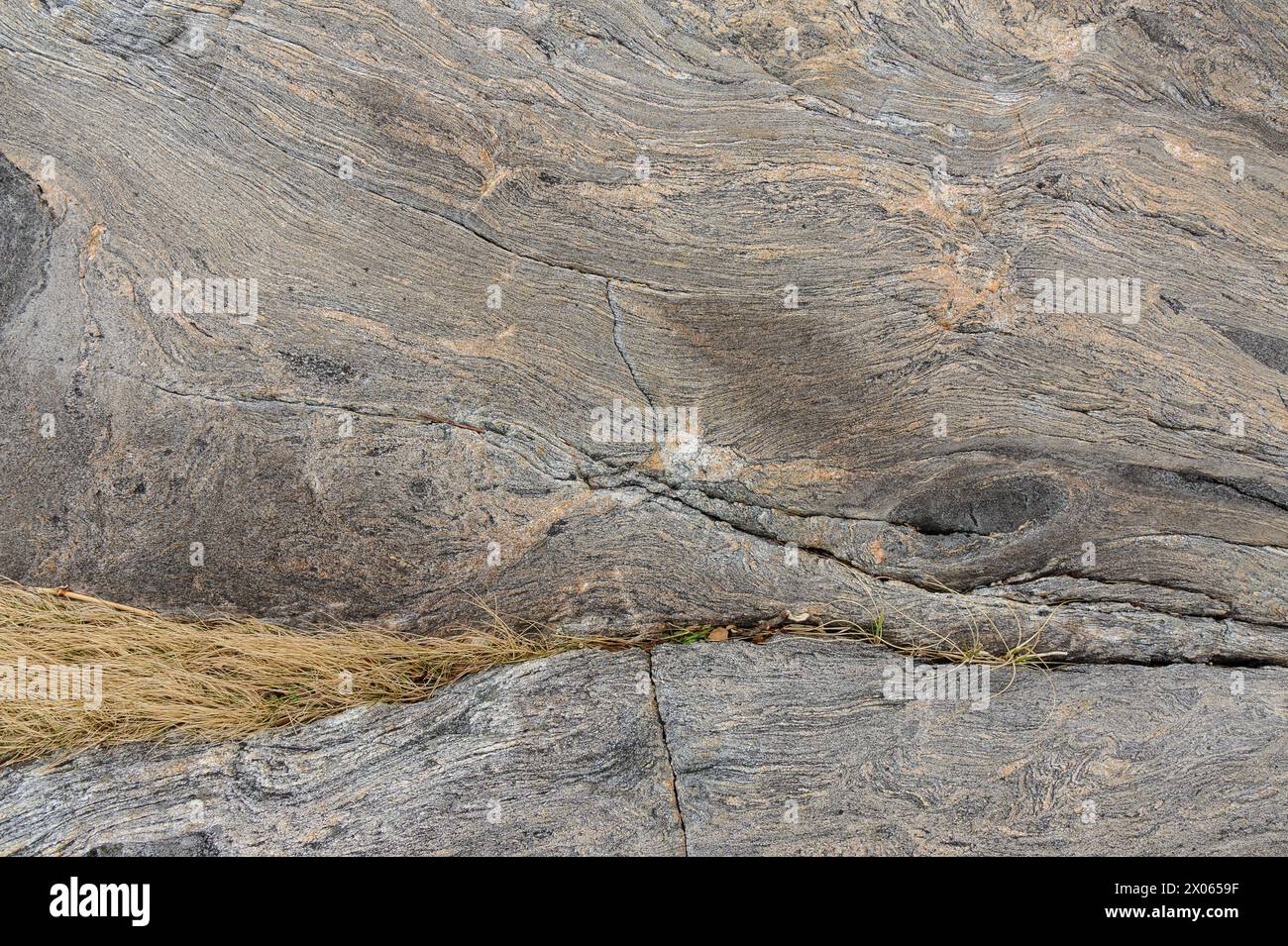 A detailed look at the patterns and textures on a rock surface with ...
