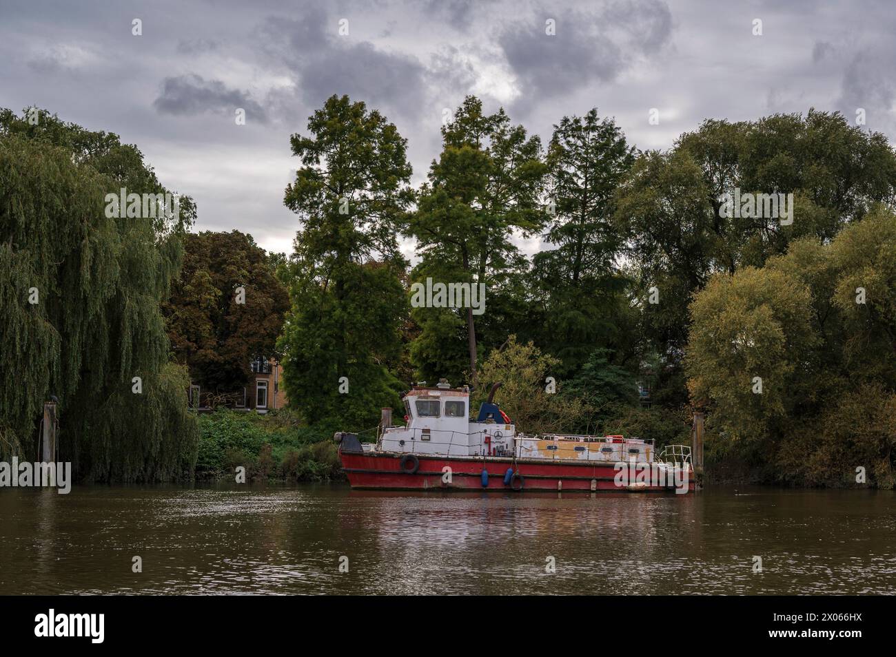 An old, derelict boat, moored on the river Thames, against a background ...