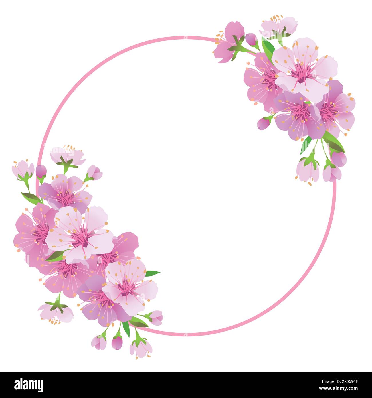 Vector wreath of sakura. Round frame with branches of cherry blossoms ...