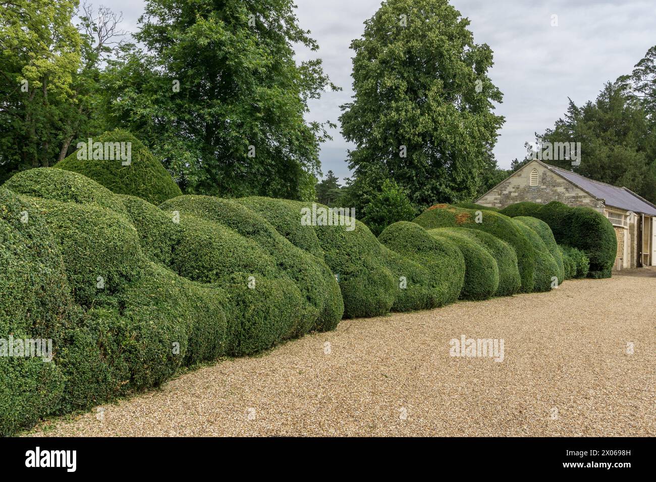Yew hedge hi-res stock photography and images - Alamy