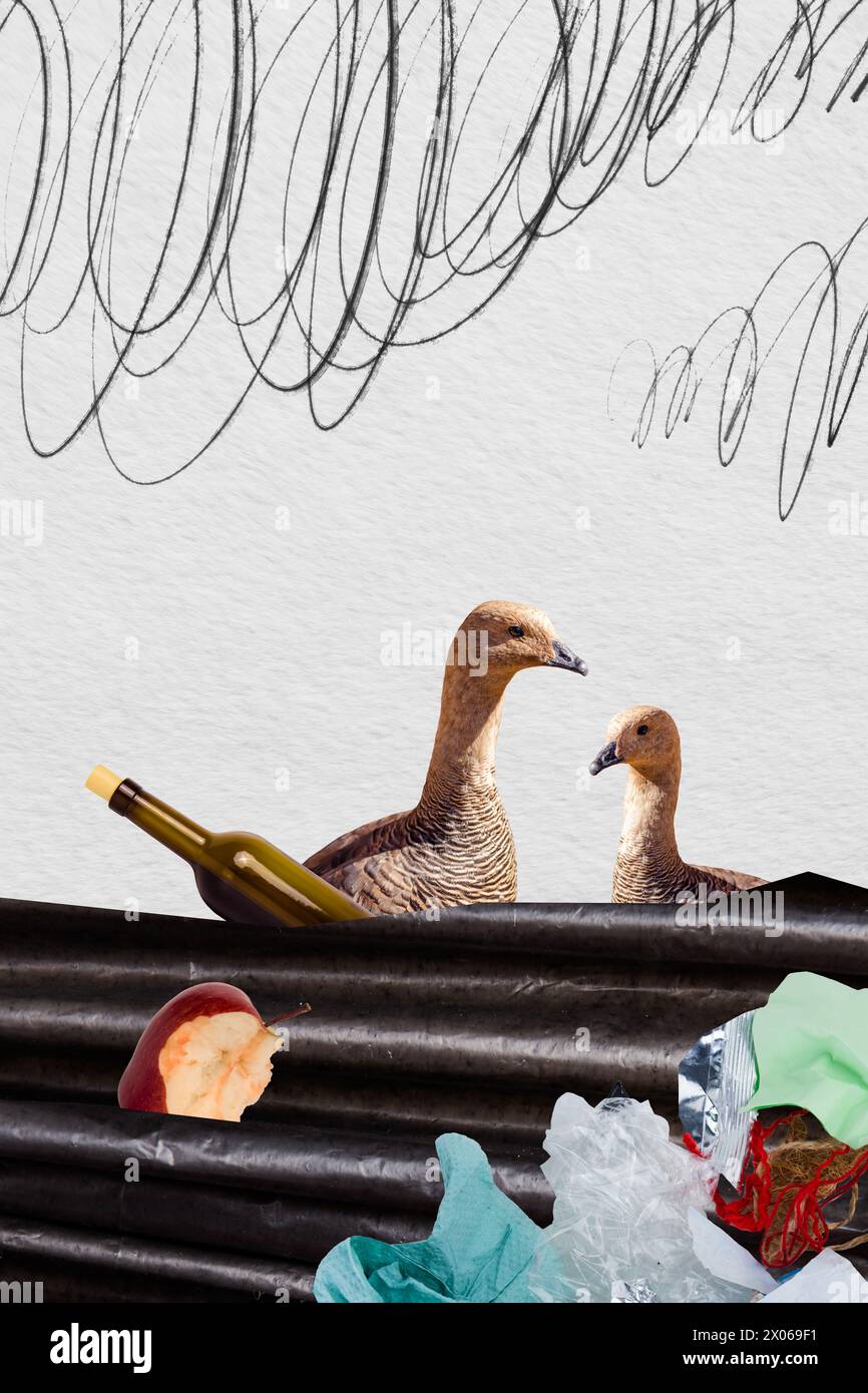 Vertical image collage of landfill birds scared helpless pile garbage ...