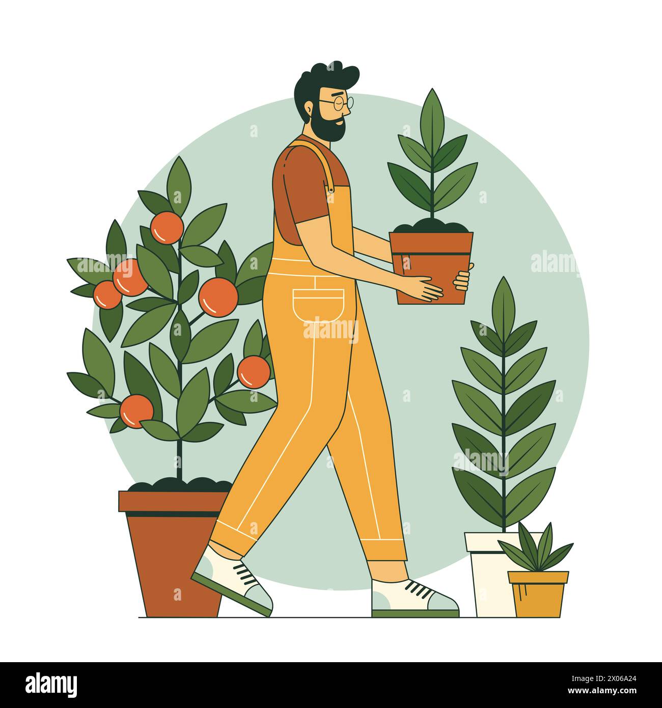 Man tree plant in Cut Out Stock Images & Pictures - Alamy