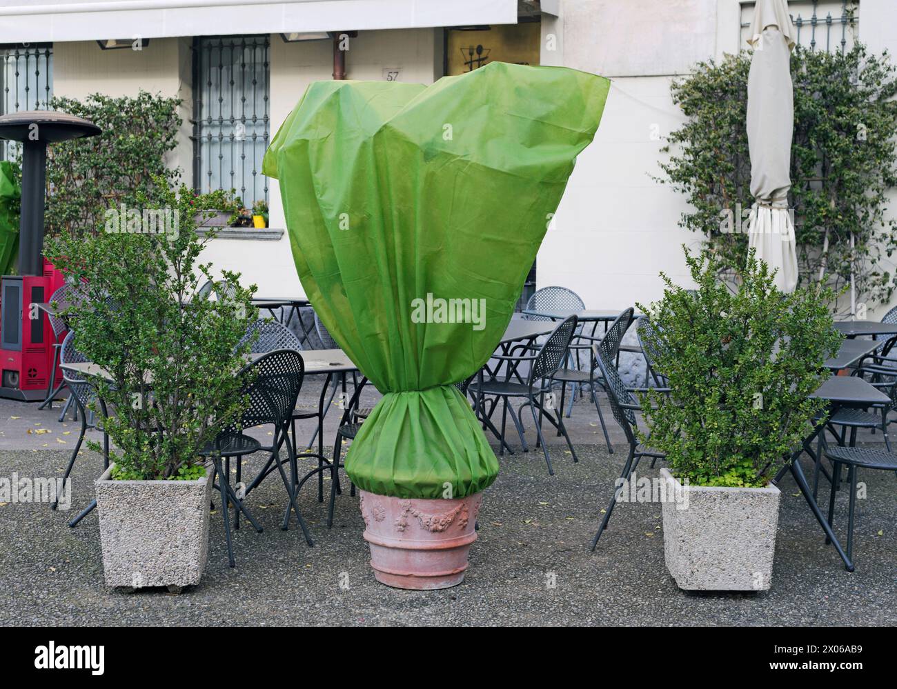 Plant wrapping hi-res stock photography and images - Alamy