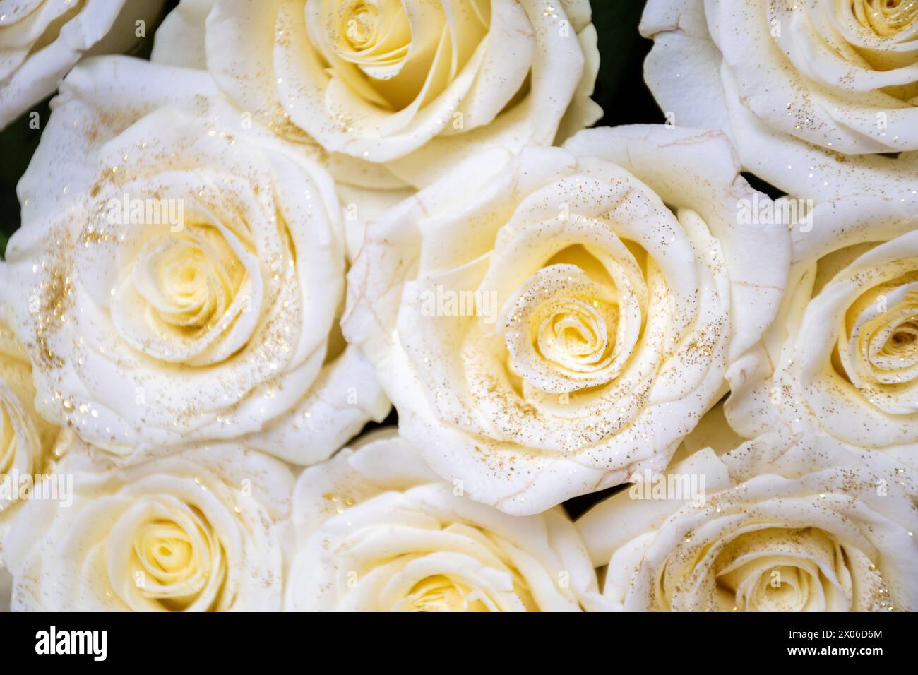 Big white roses with gold glitter, bouquet background Stock Photo - Alamy