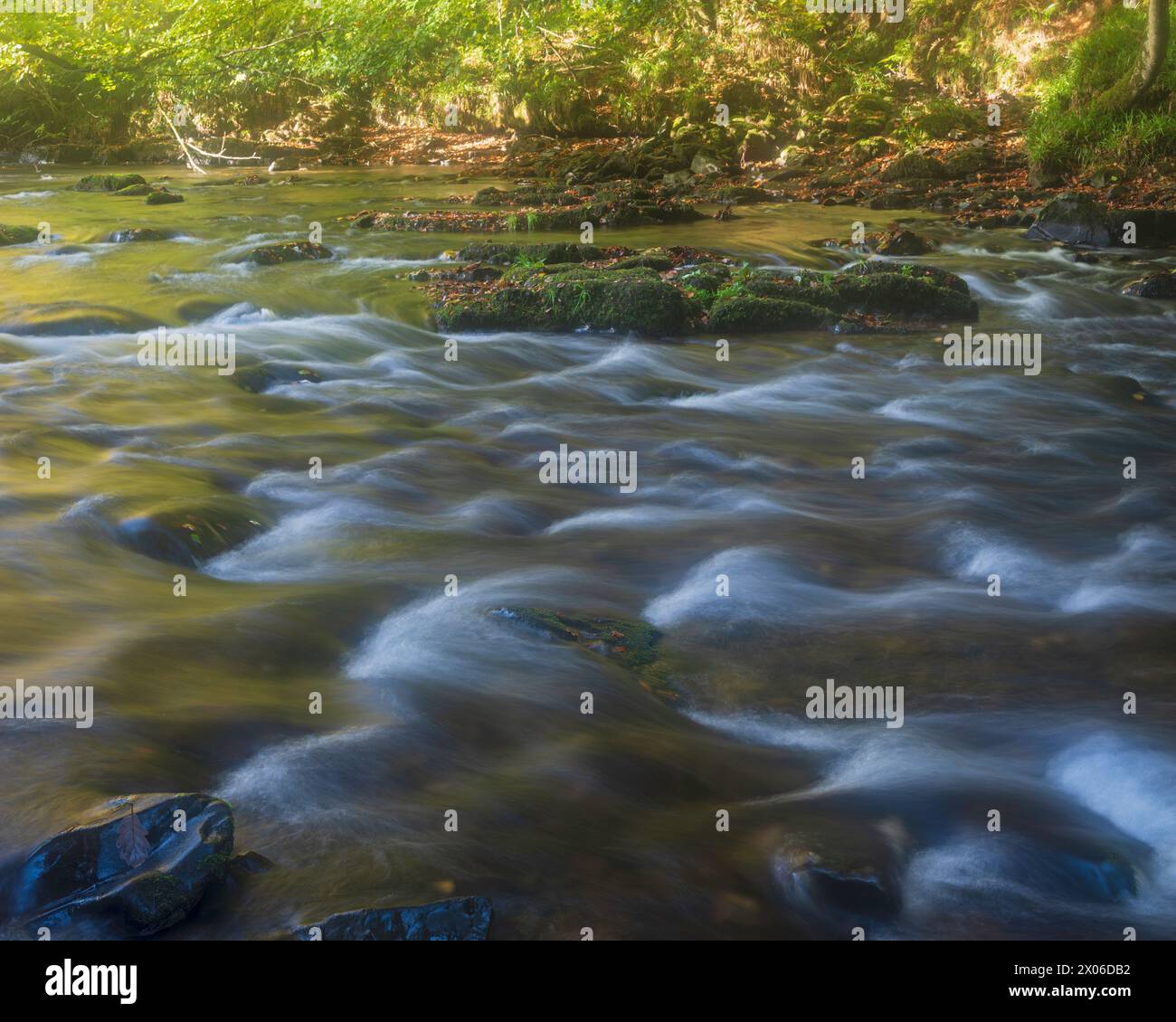 River Barle flowing over the boulders in Shircombe Slade in Exmoor ...