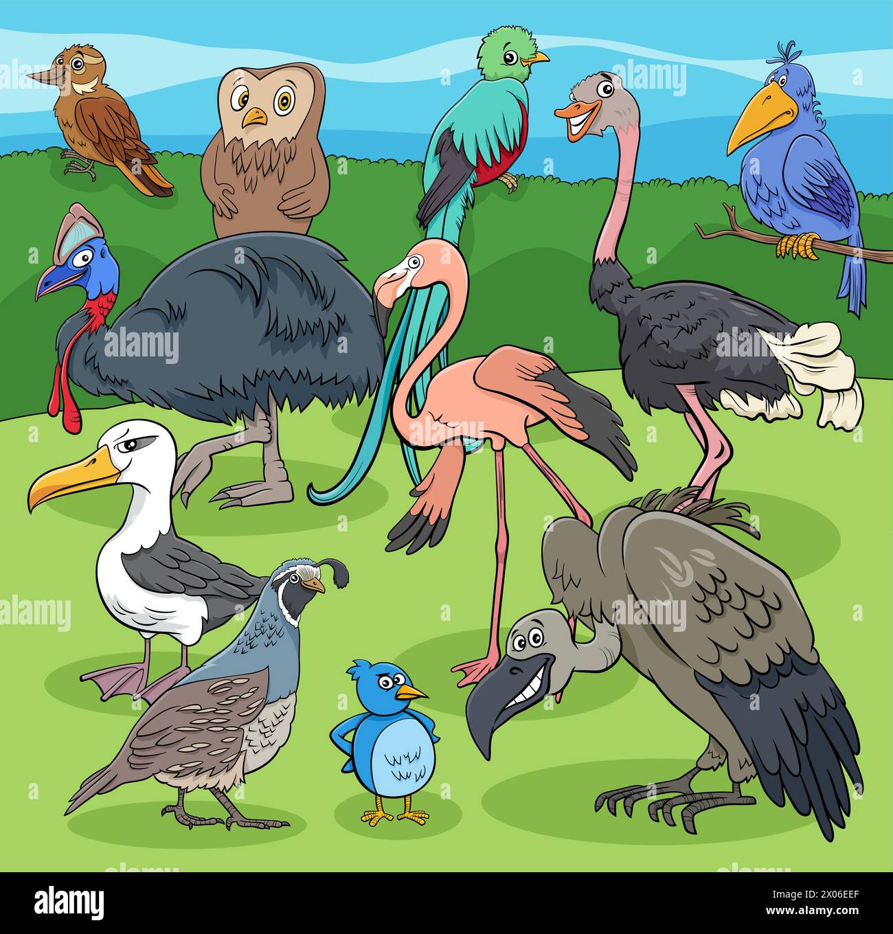 Cartoon illustration of funny birds animal comic characters group Stock ...