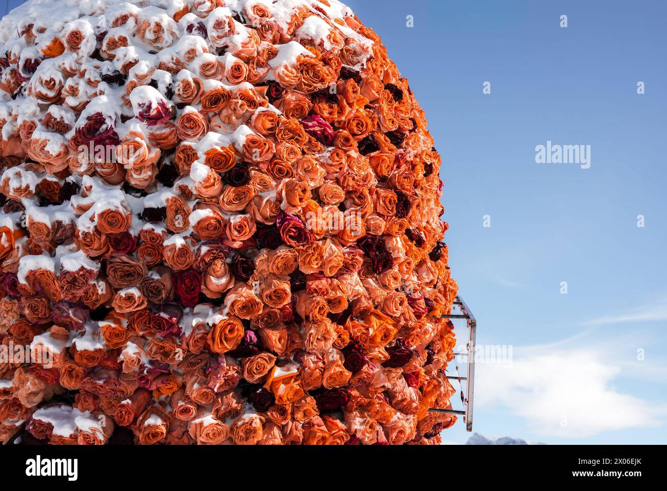 Floral Sphere Installation with Orange and White Roses, Murren ...