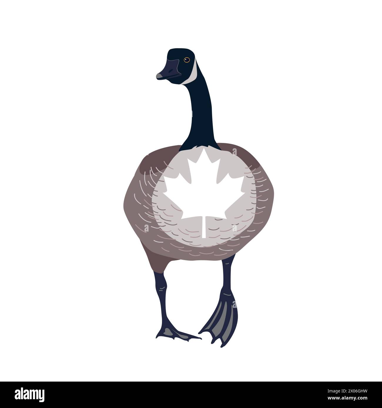 Canada goose bird with Canadian flag maple leaf on its chest. Vector ...