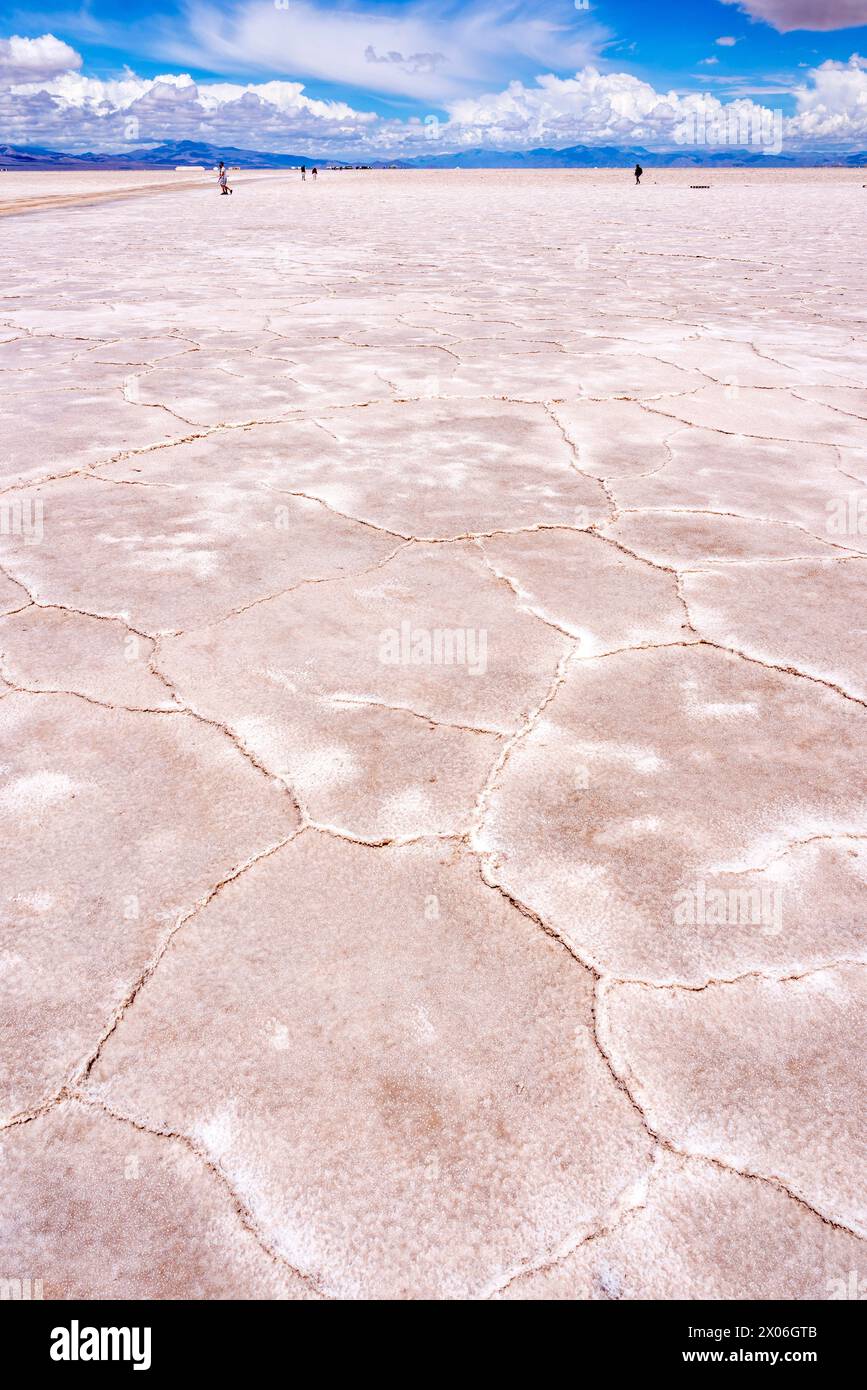 The Salinas Grandes Salt Flats, Salta/jujuy Province, Argentina Stock ...