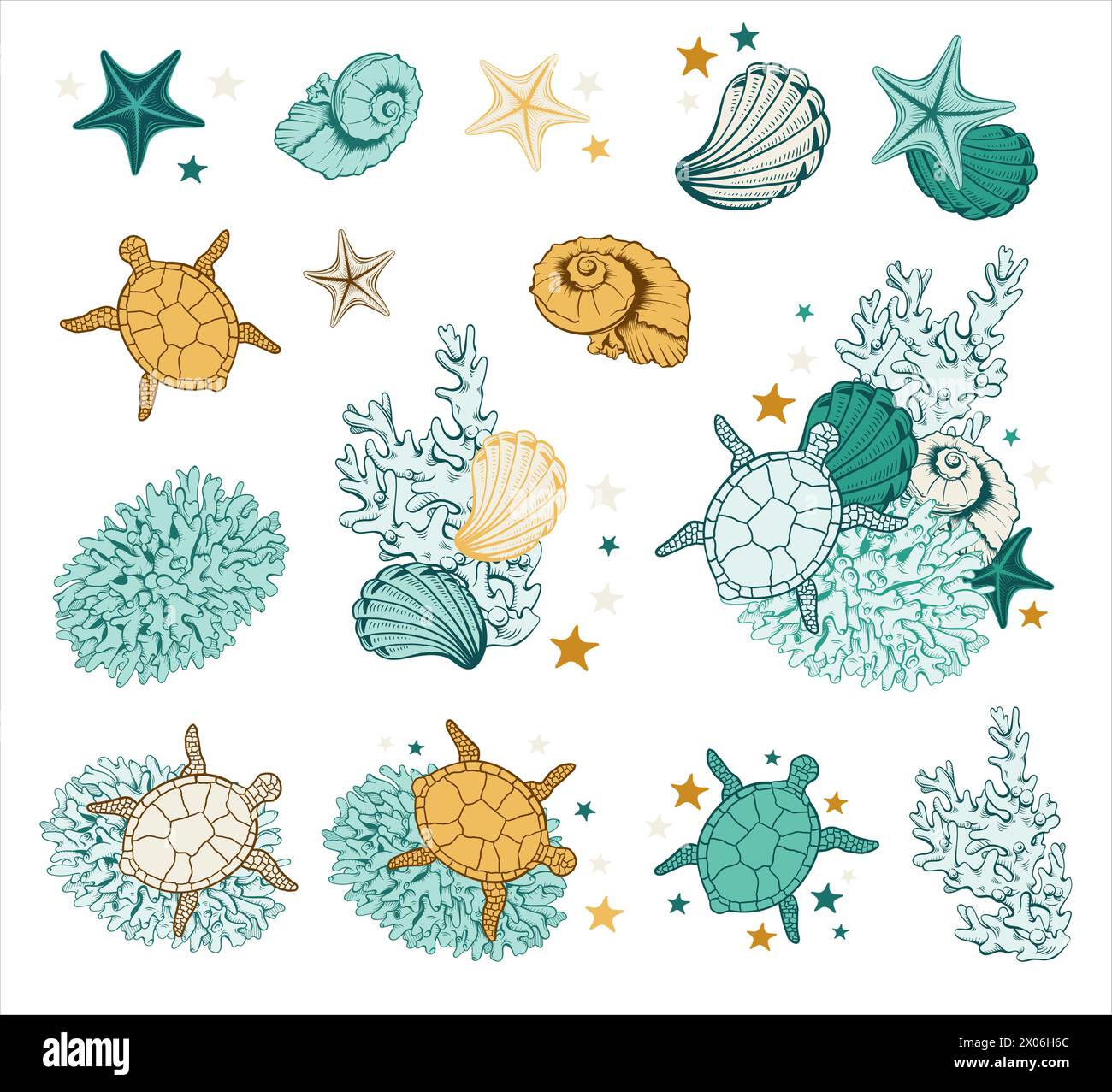 Turquoise and Gold Seashells Turtles Sea Stars Marine Summer ...