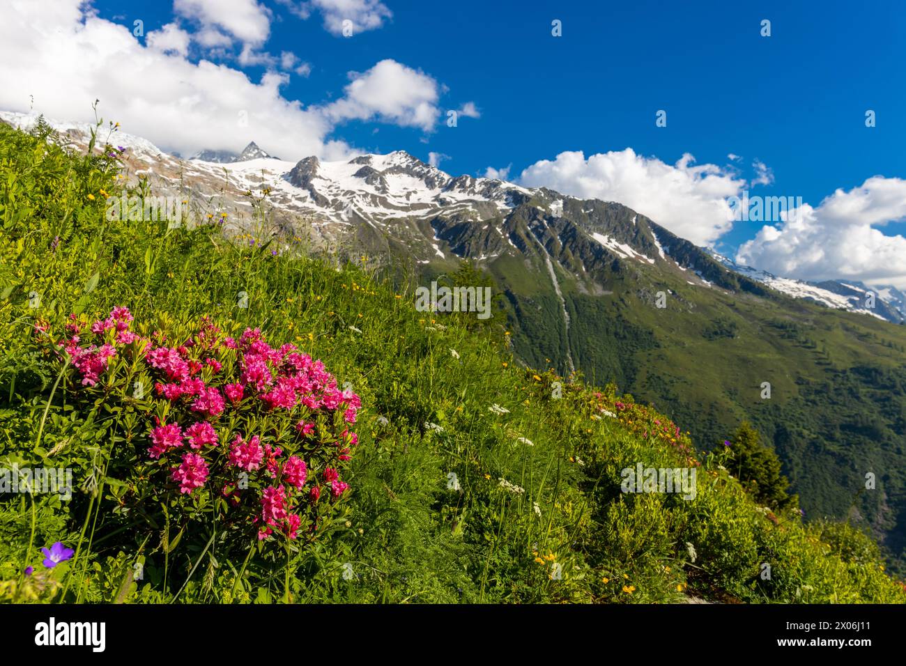 Green valley and snow summits Alpine mountain landscape. Beautiful ...