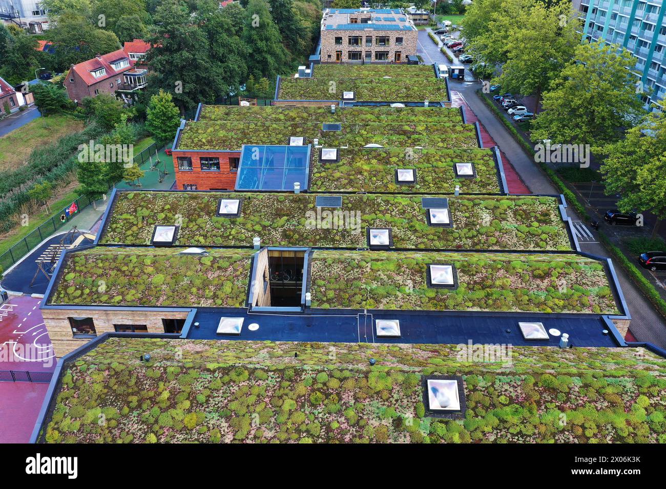 Green roofs in the city, Netherlands, Dordrecht Stock Photo - Alamy