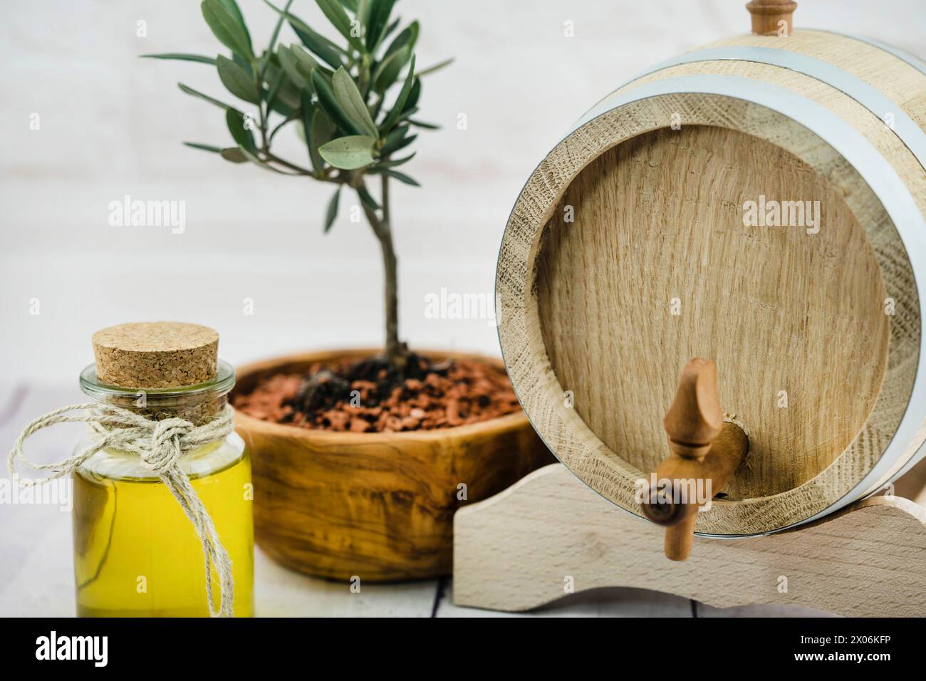 young olive tree, olive oil and wooden barrel Stock Photo - Alamy