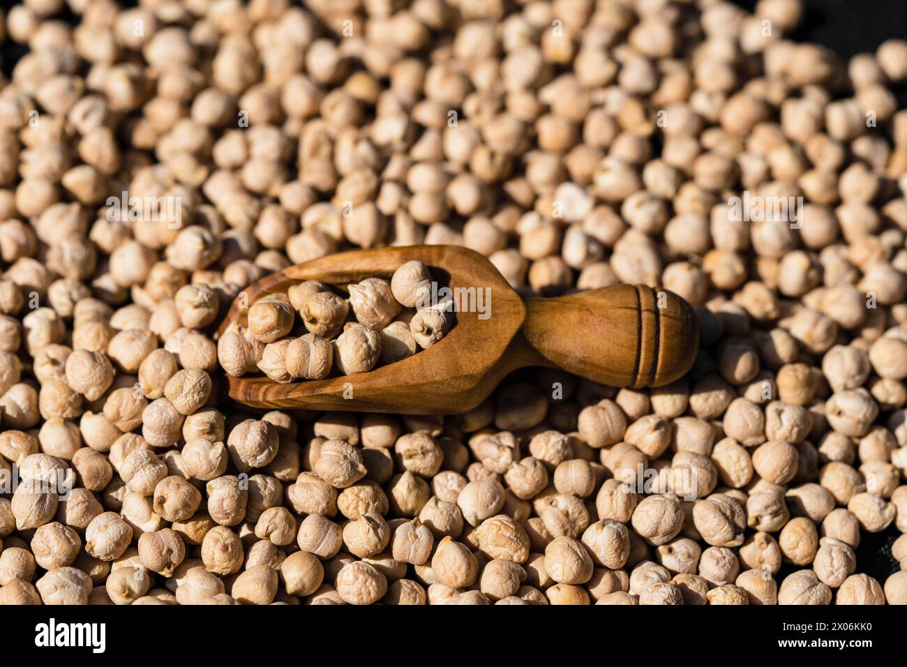 bush garbanzo bean, chickpea (Cicer arietinum), Chickpeas with wooden ...