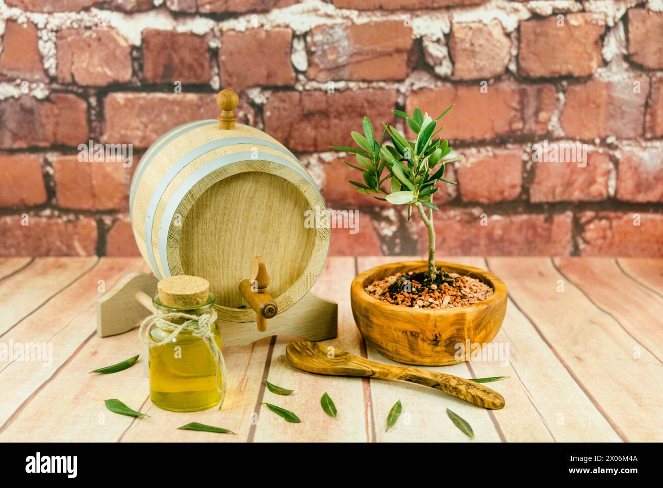 wooden spoon, young olive tree, olive oil and wooden barrel Stock Photo ...