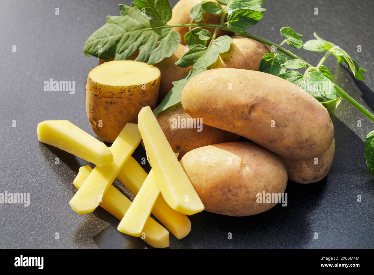 potato (Solanum tuberosum), potato tubers, sliced tuber and fresh ...