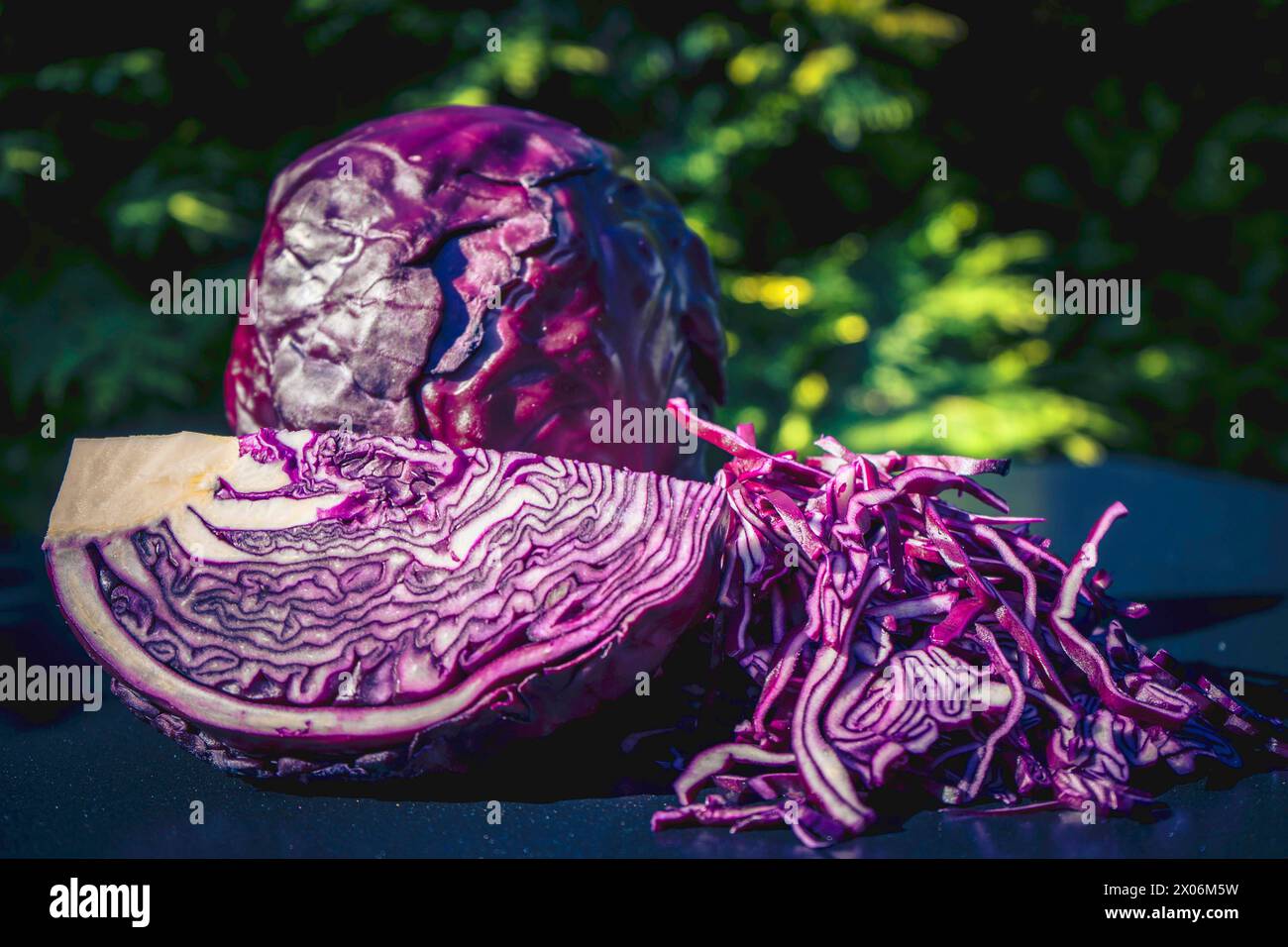 Red cabbage, purple cabbage, red kraut, blue kraut (Brassica oleracea ...