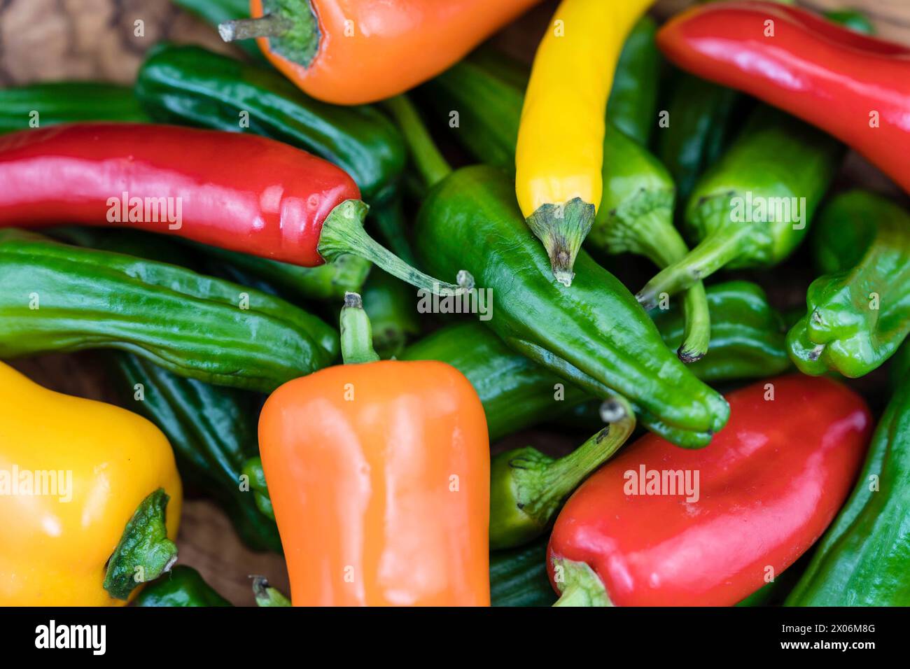 chili pepper, paprika (Capsicum annuum), various peppers and chili ...