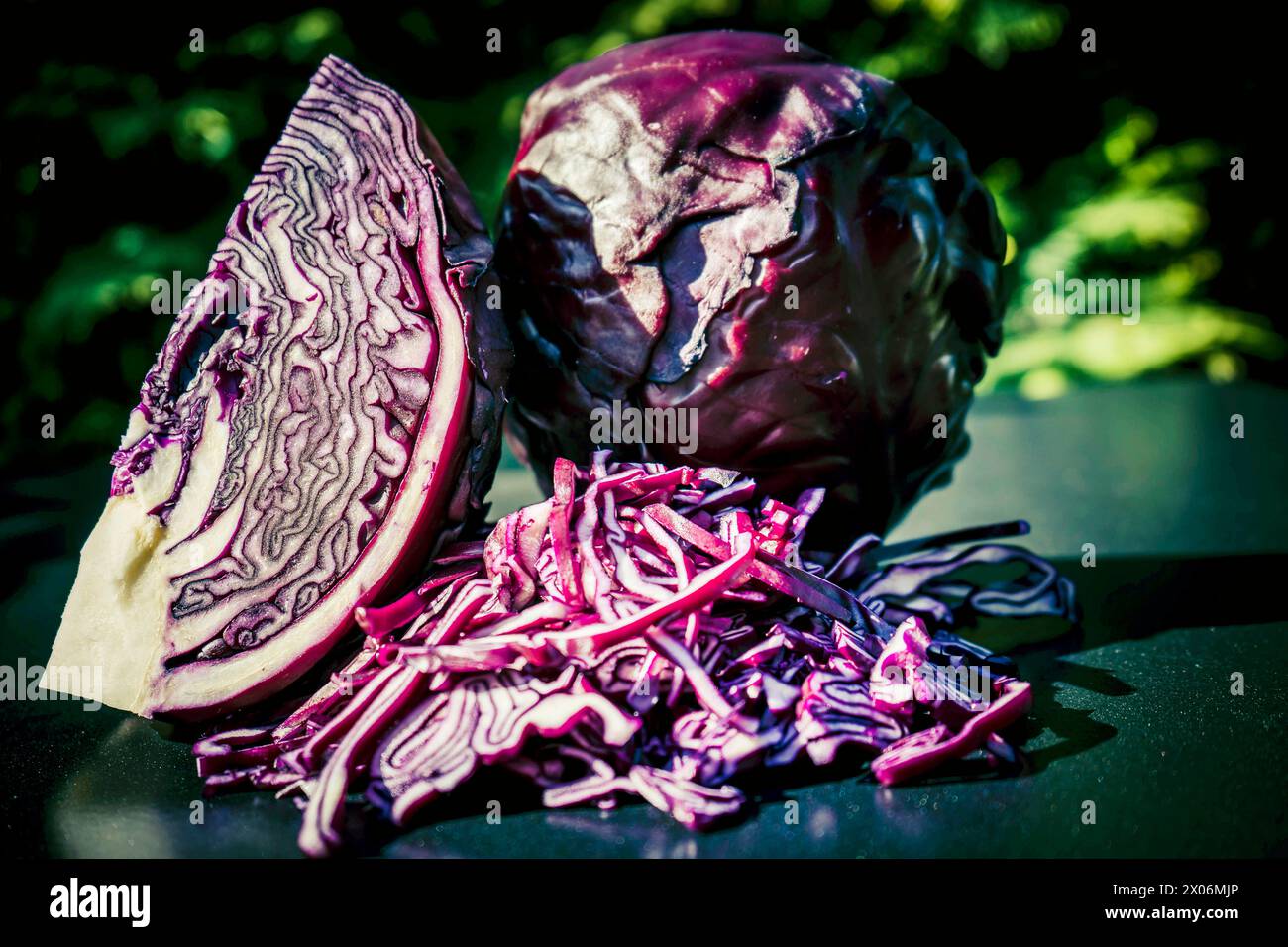 Red cabbage, purple cabbage, red kraut, blue kraut (Brassica oleracea ...