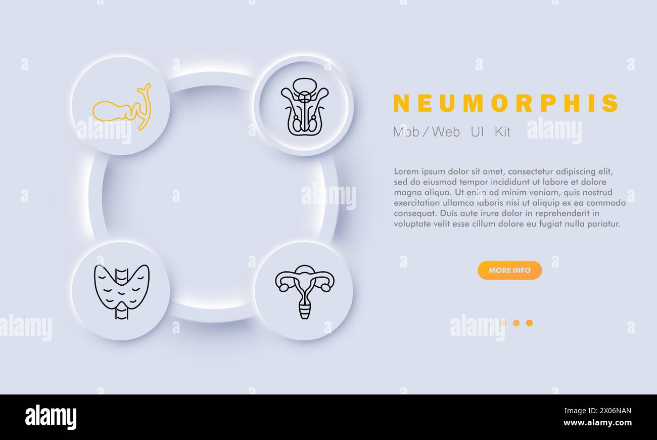 Organs set icon. Female reproductive organ, pelvis, lungs, kidneys ...