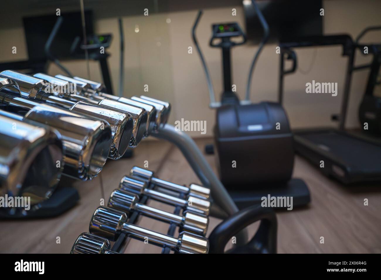 Luxury Gym with Chrome Dumbbells, Cardio Machines, Zermatt Stock Photo ...