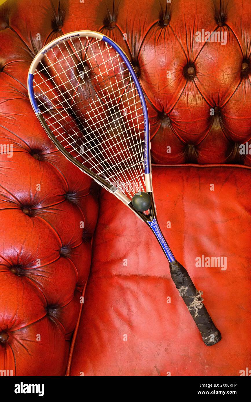 Squash racket and ball Stock Photo - Alamy