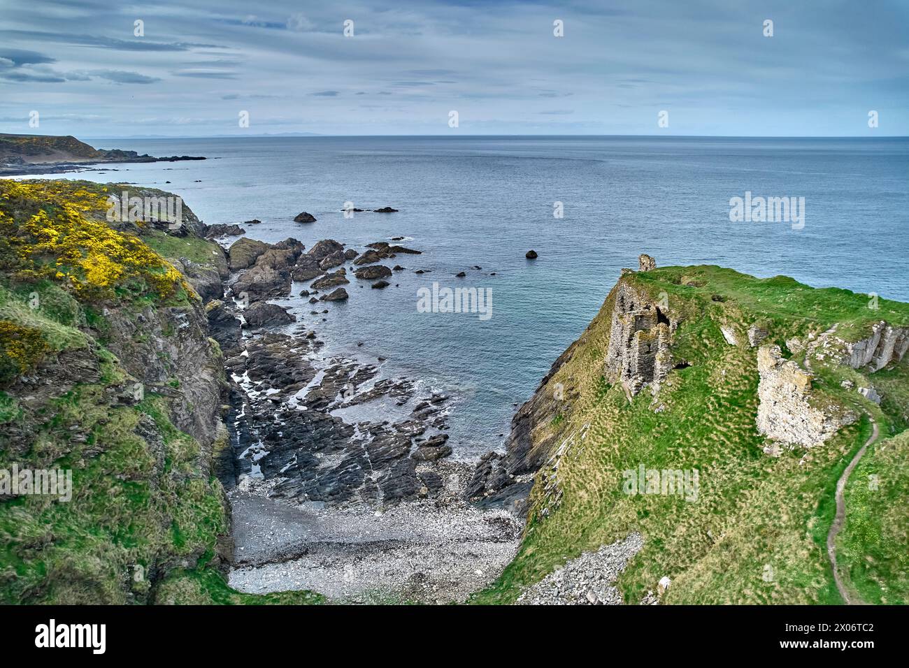 Findlater Castle Cullen Aberdeenshire in Springtime yellow gorse the ...