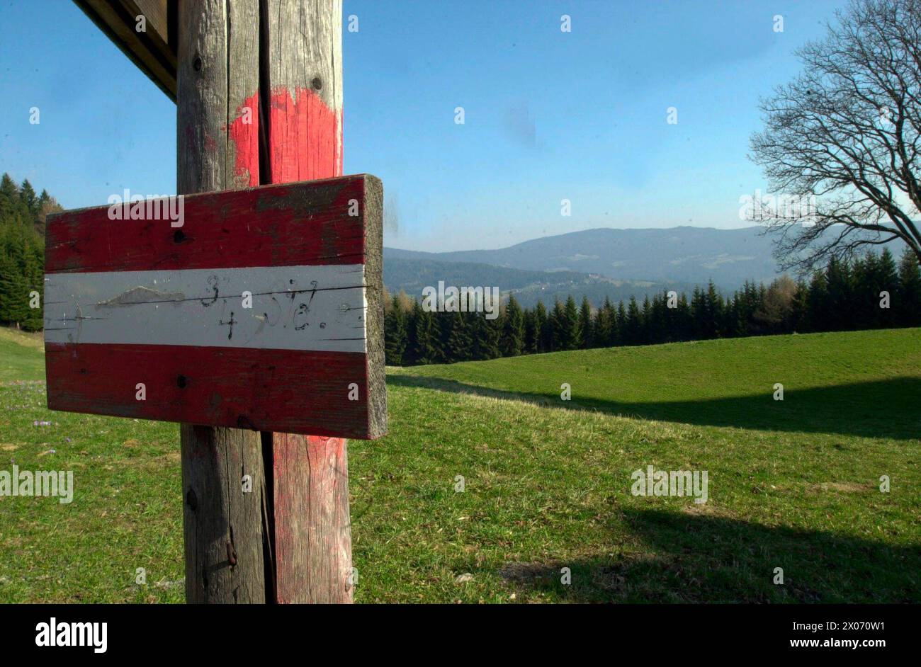 Orientation and mapping in space is a big skill Orientation and mapping ...