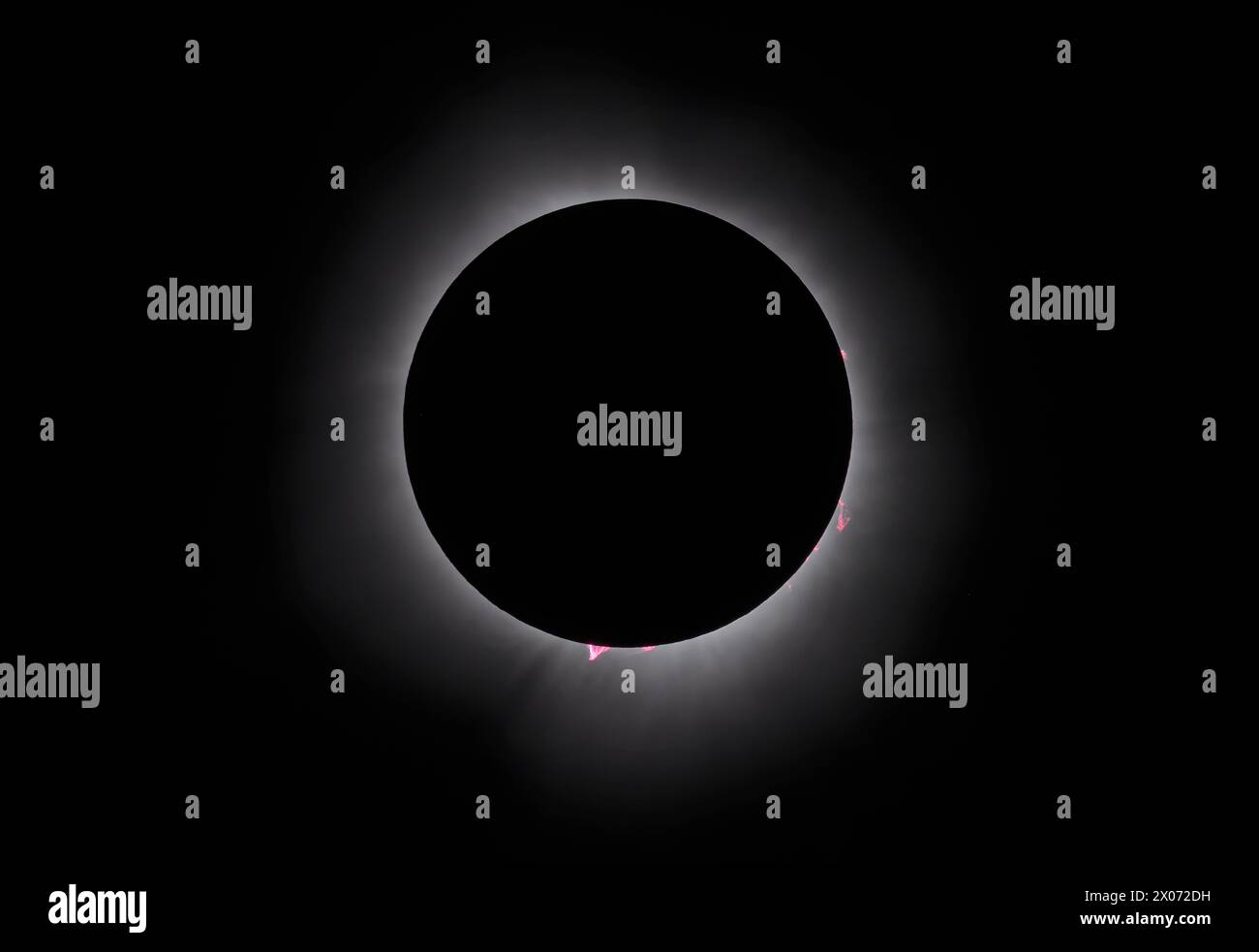 Total Solar Eclipse Prominences - April 8, 2024, Waterville, Quebec ...