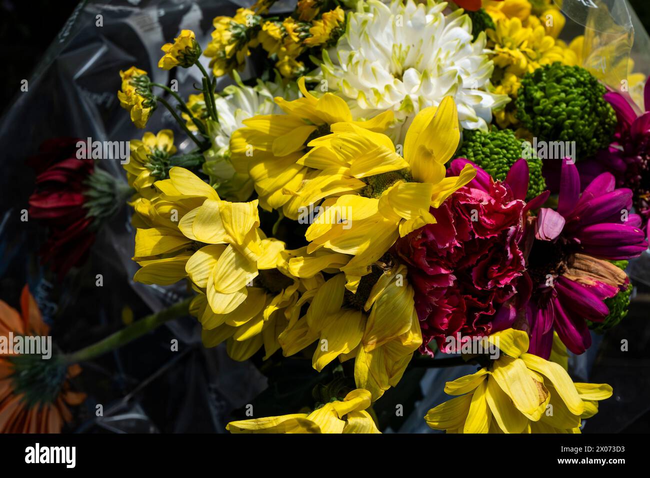 A closeup view of a bouquet of flowers starting to wilt left on a bench ...