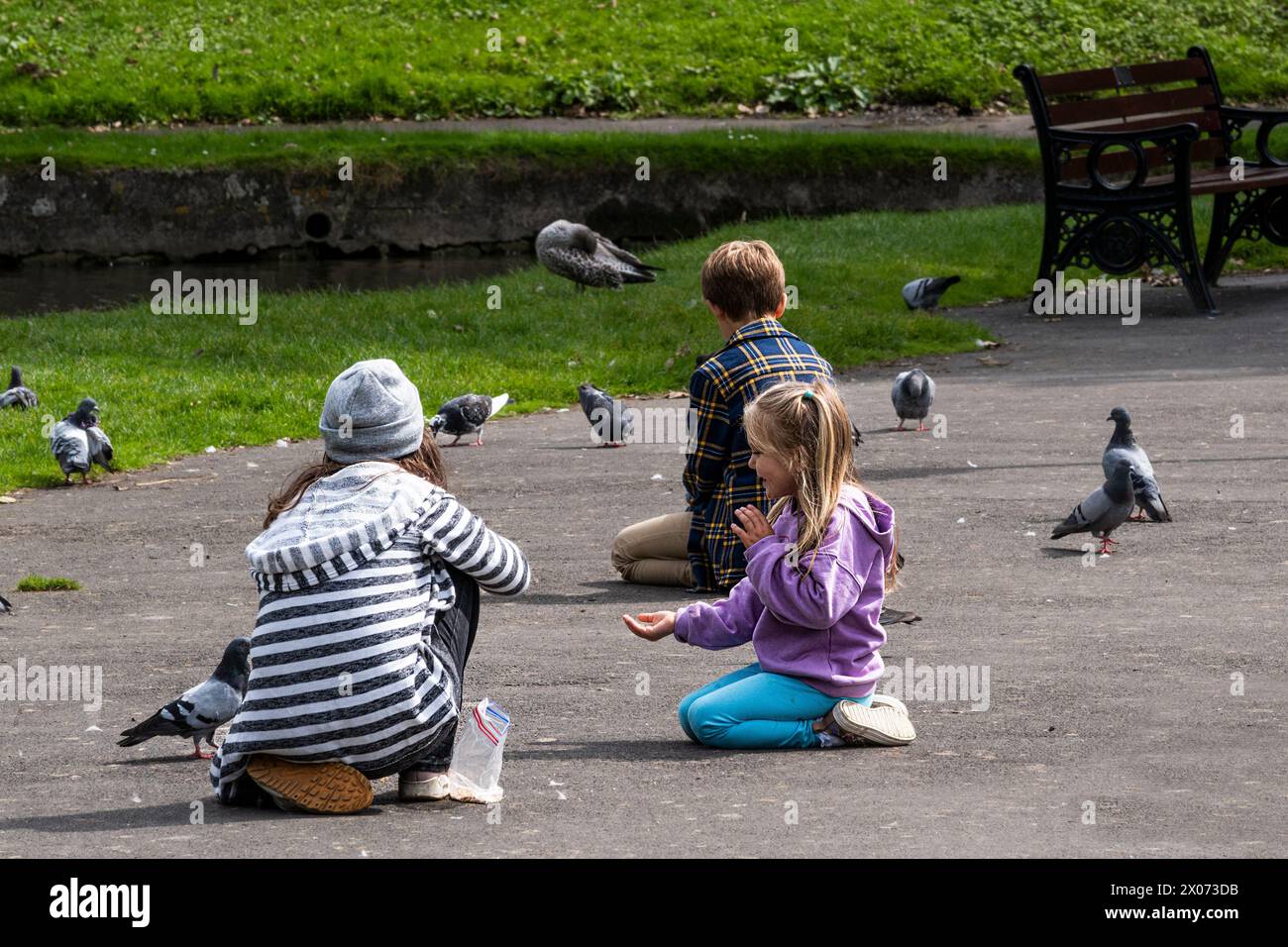 Three children feeding pigeons in Trenance Gardens in Newquay in ...