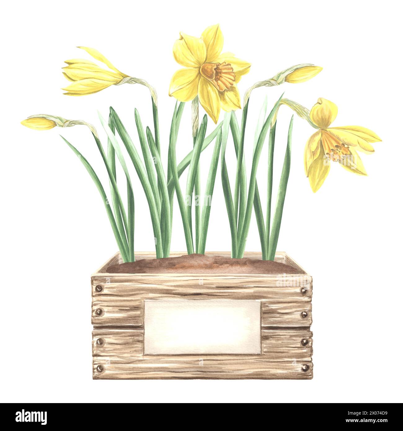 Illustration florist hi-res stock photography and images - Alamy