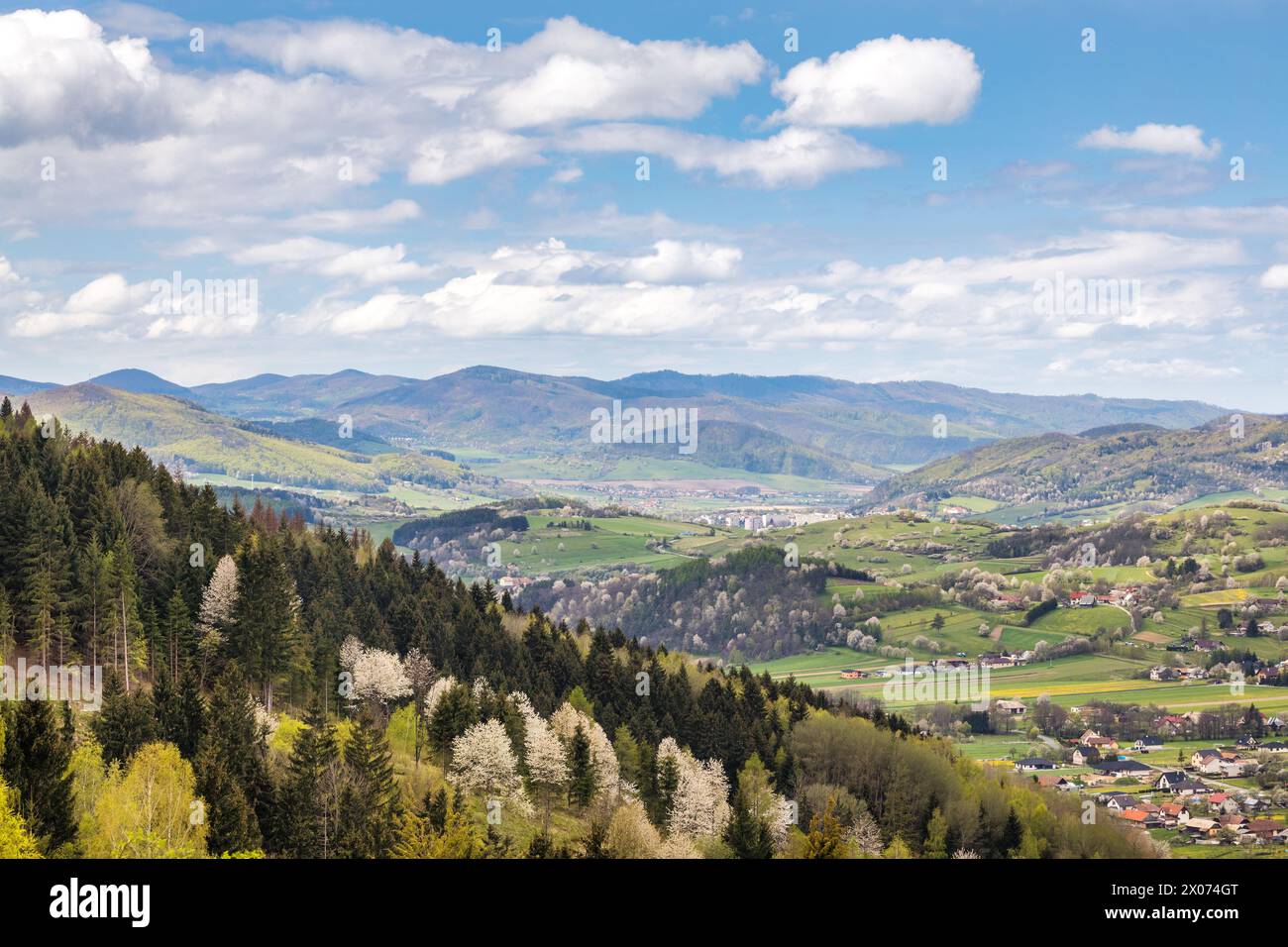 Spring landscape with blossom trees on a green meadows. The Hrinova ...