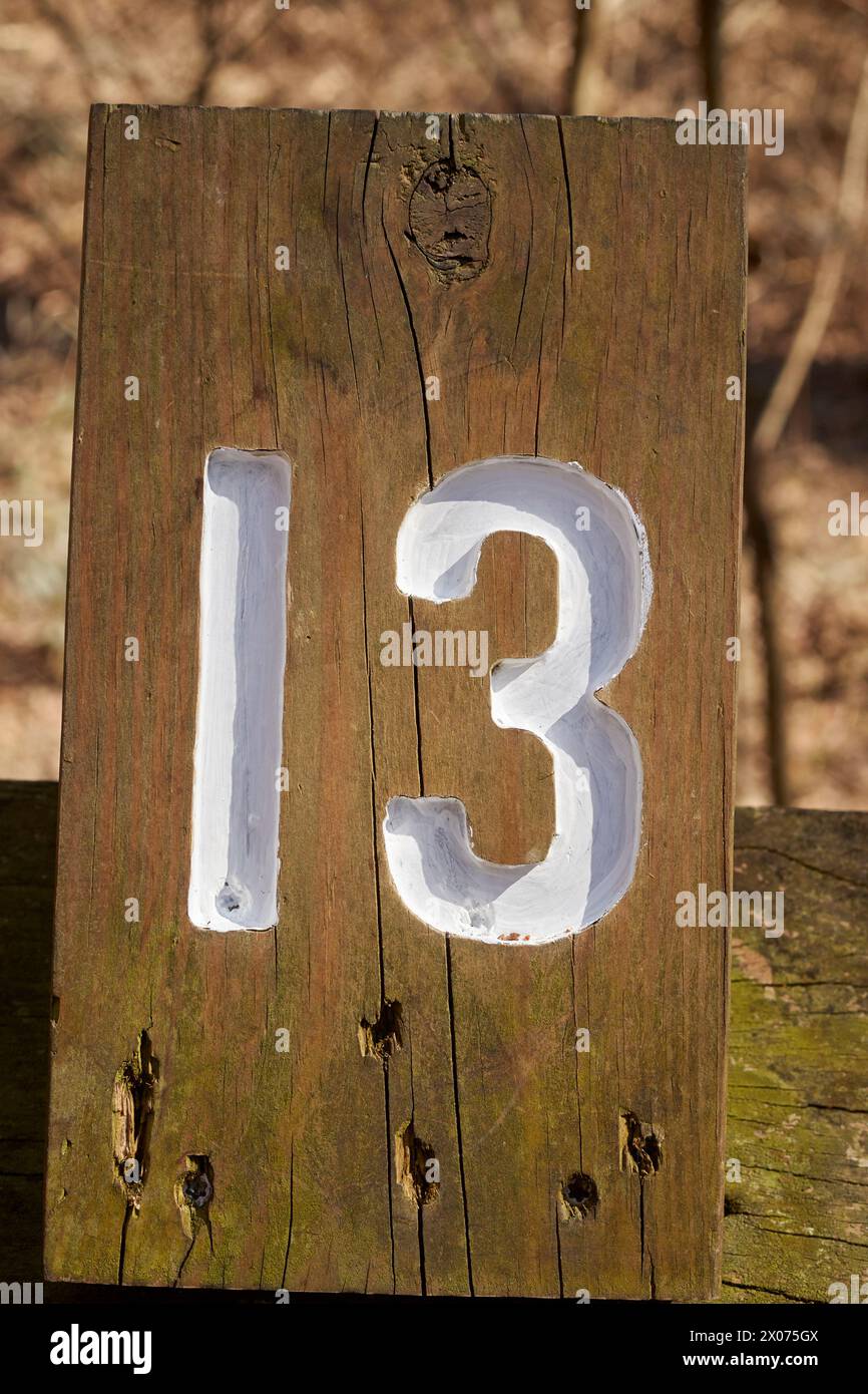 Number 13, lucky or unlucky, at Congaree National Park, South Carolina ...