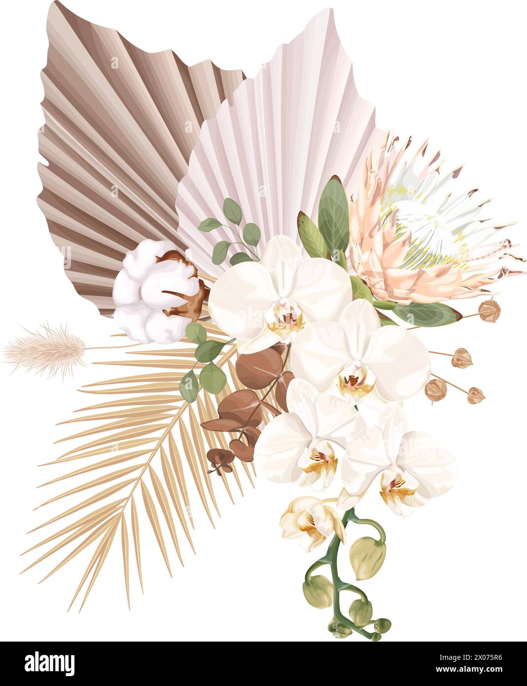 Tropical boho, bohemian bouquet with phalaenopsis orchid flower, protea ...