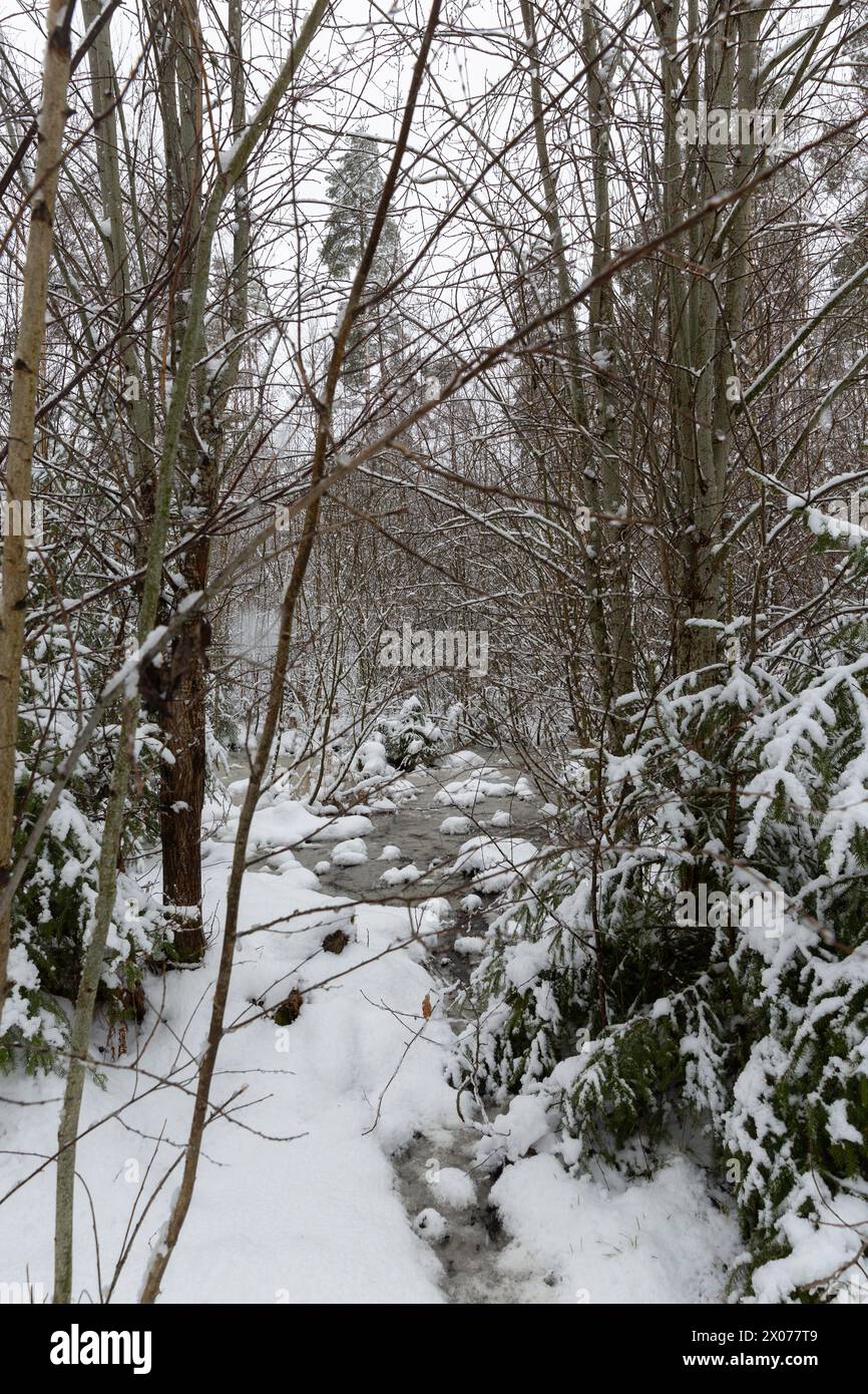 Peaceful waterlogged hi-res stock photography and images - Alamy
