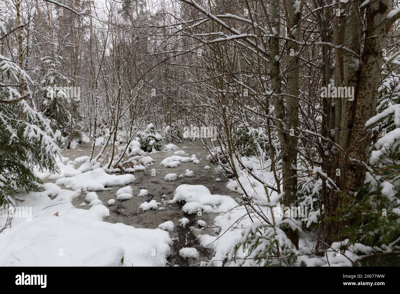 Peaceful waterlogged hi-res stock photography and images - Alamy