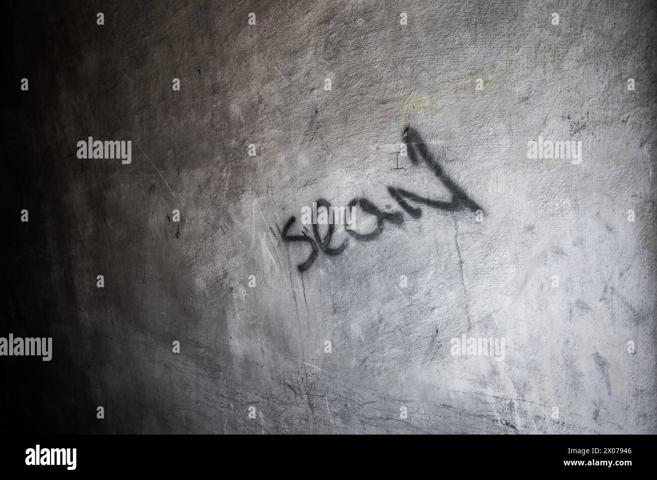 The name Sean written on a grungy wall Stock Photo - Alamy