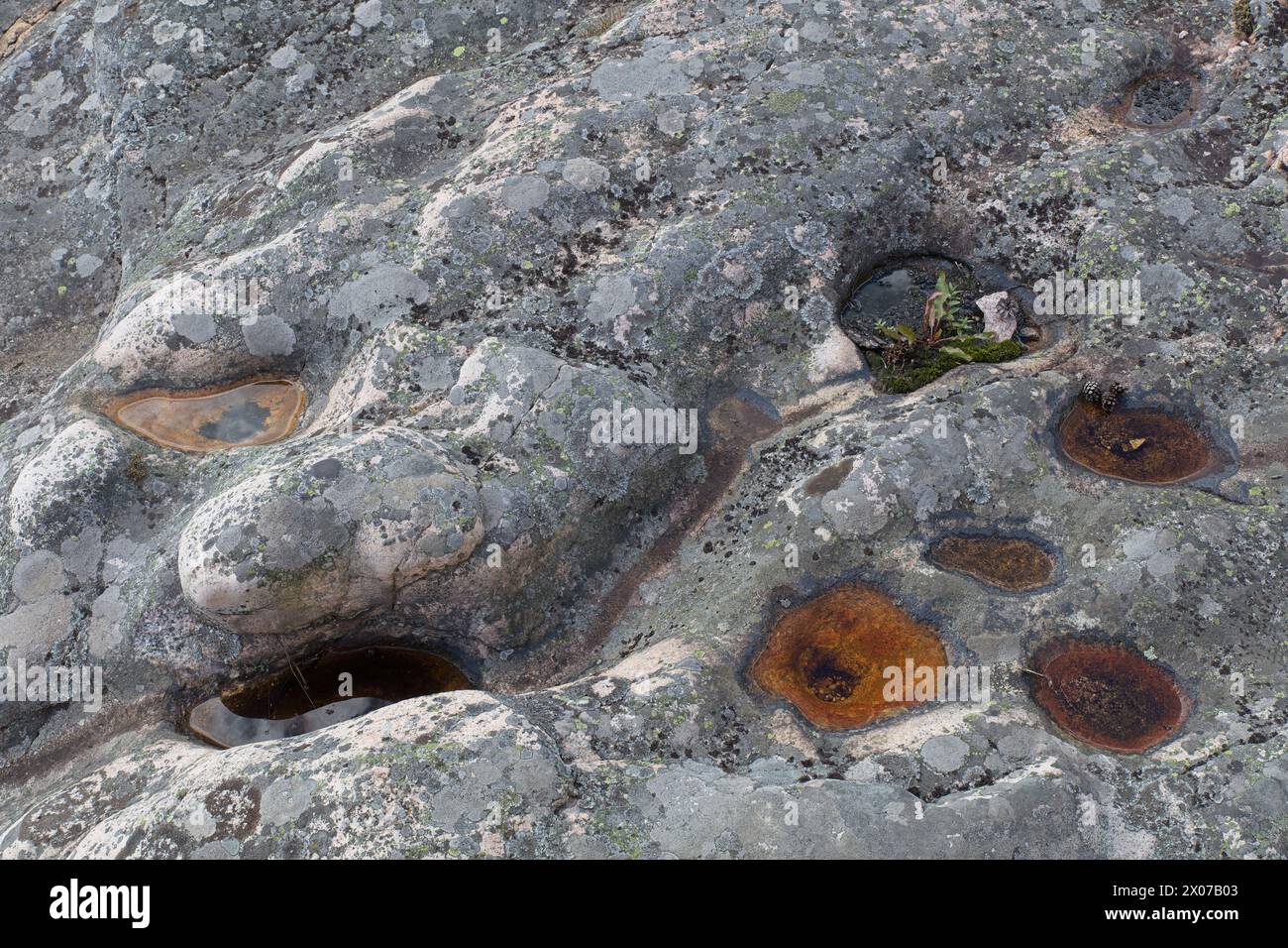 Cylindrical surface hi-res stock photography and images - Alamy