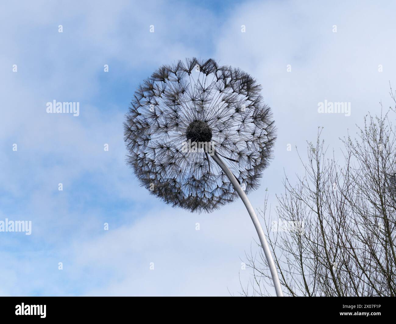 Steel wire dandelion clock Stock Photo - Alamy