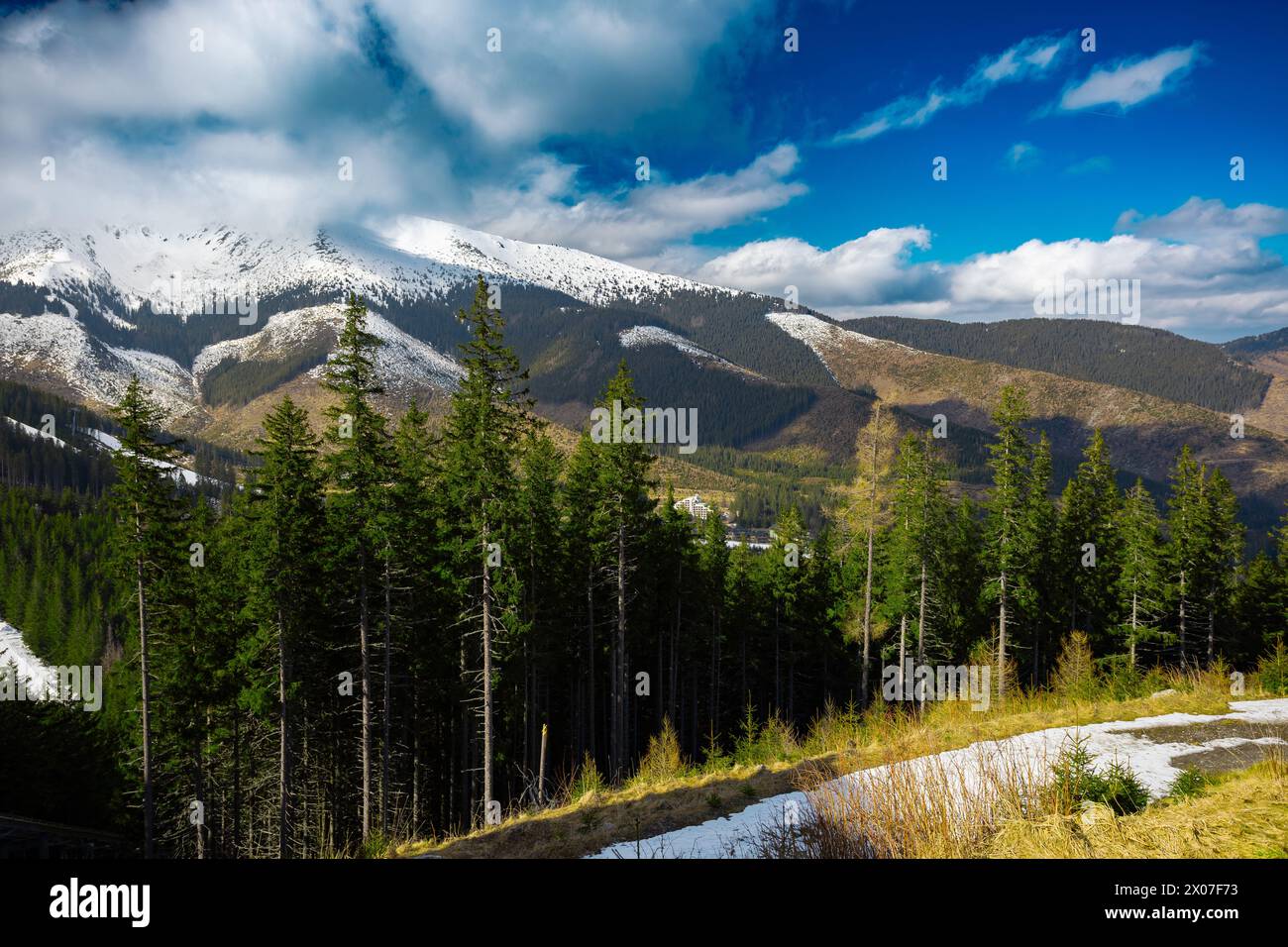 jasna Slovakia spring landscape for background Stock Photo - Alamy