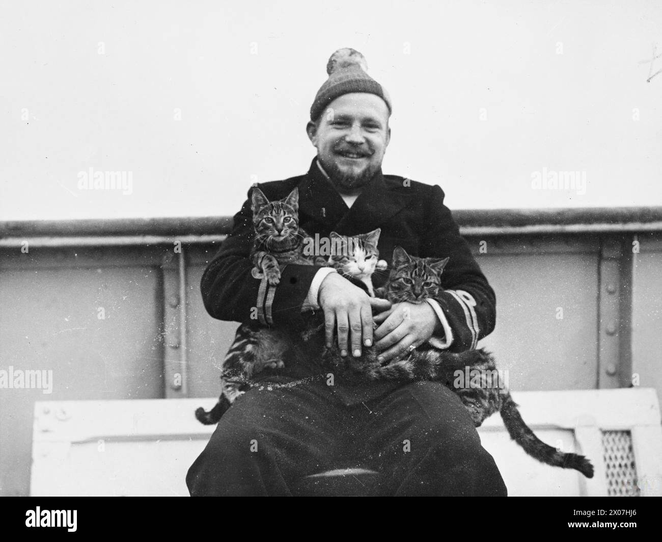 The First Lieutenant of HMS Weston poses with the ship's three cats ...