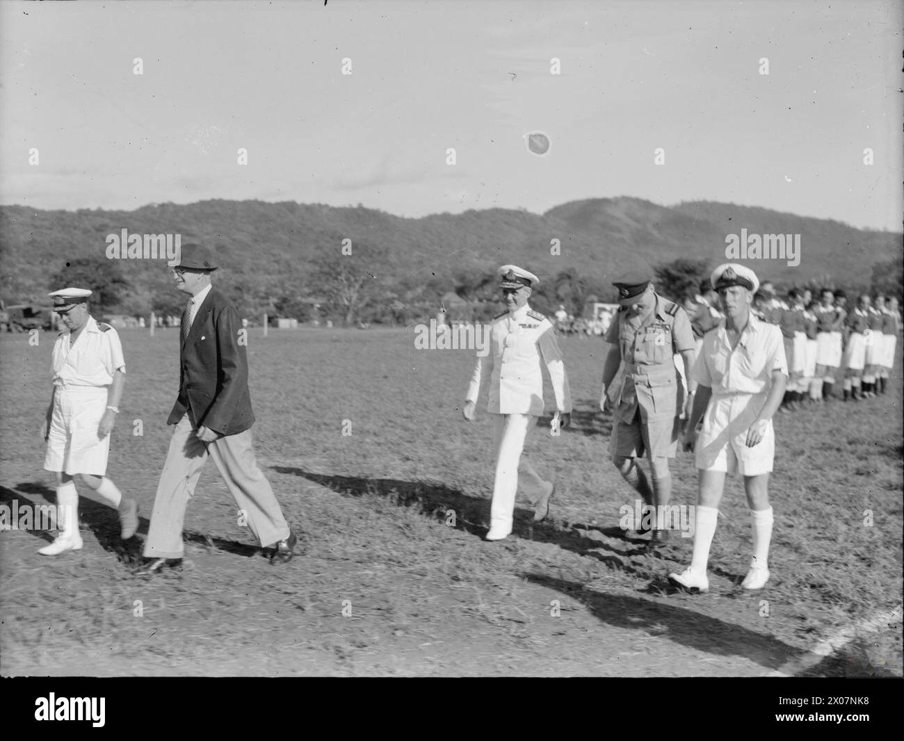 Spurwing hi-res stock photography and images - Alamy